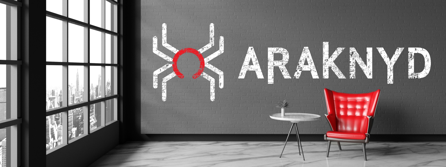 Araknyd - Programmation et Développement Web