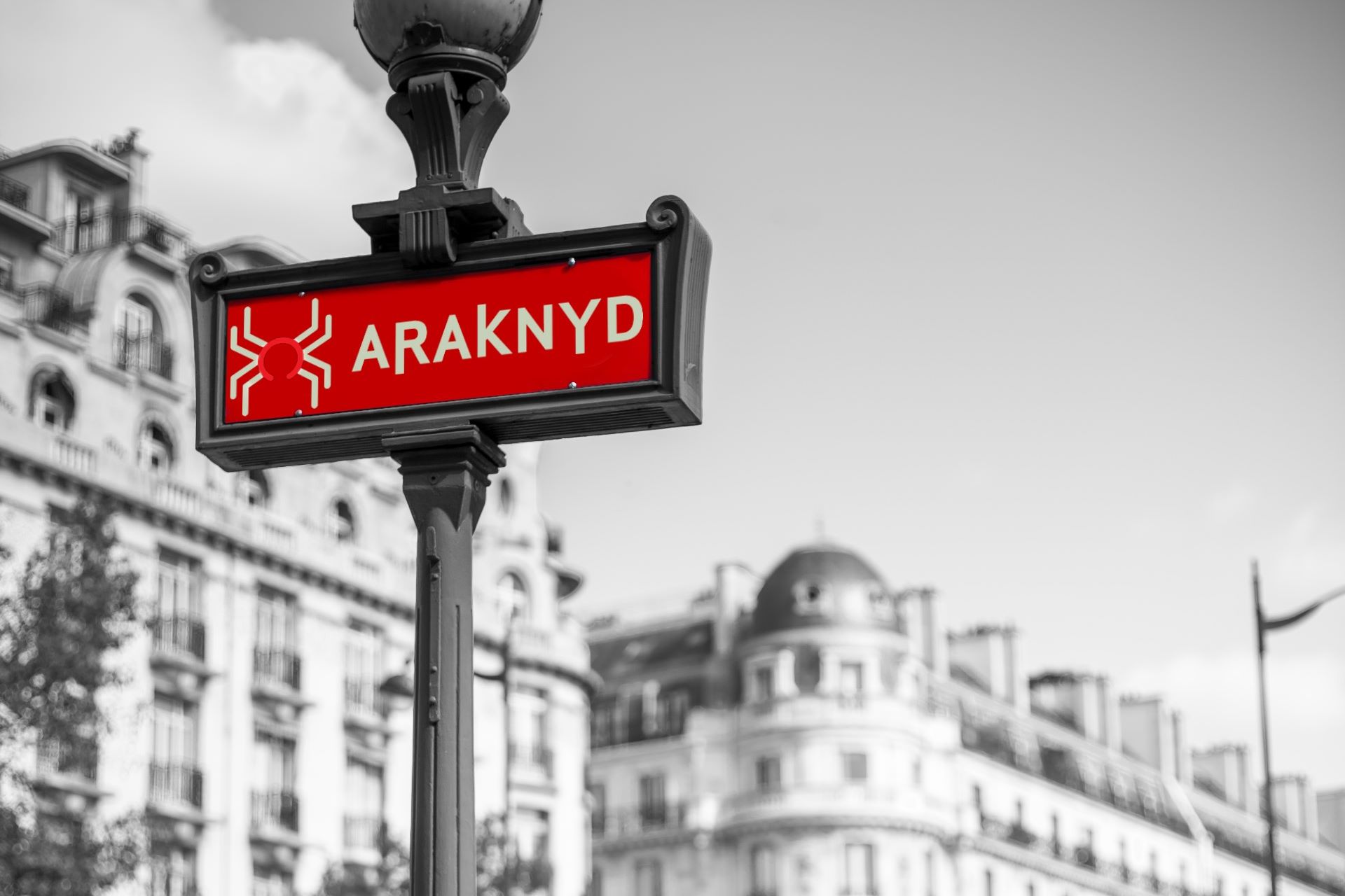 Blog - Araknyd
